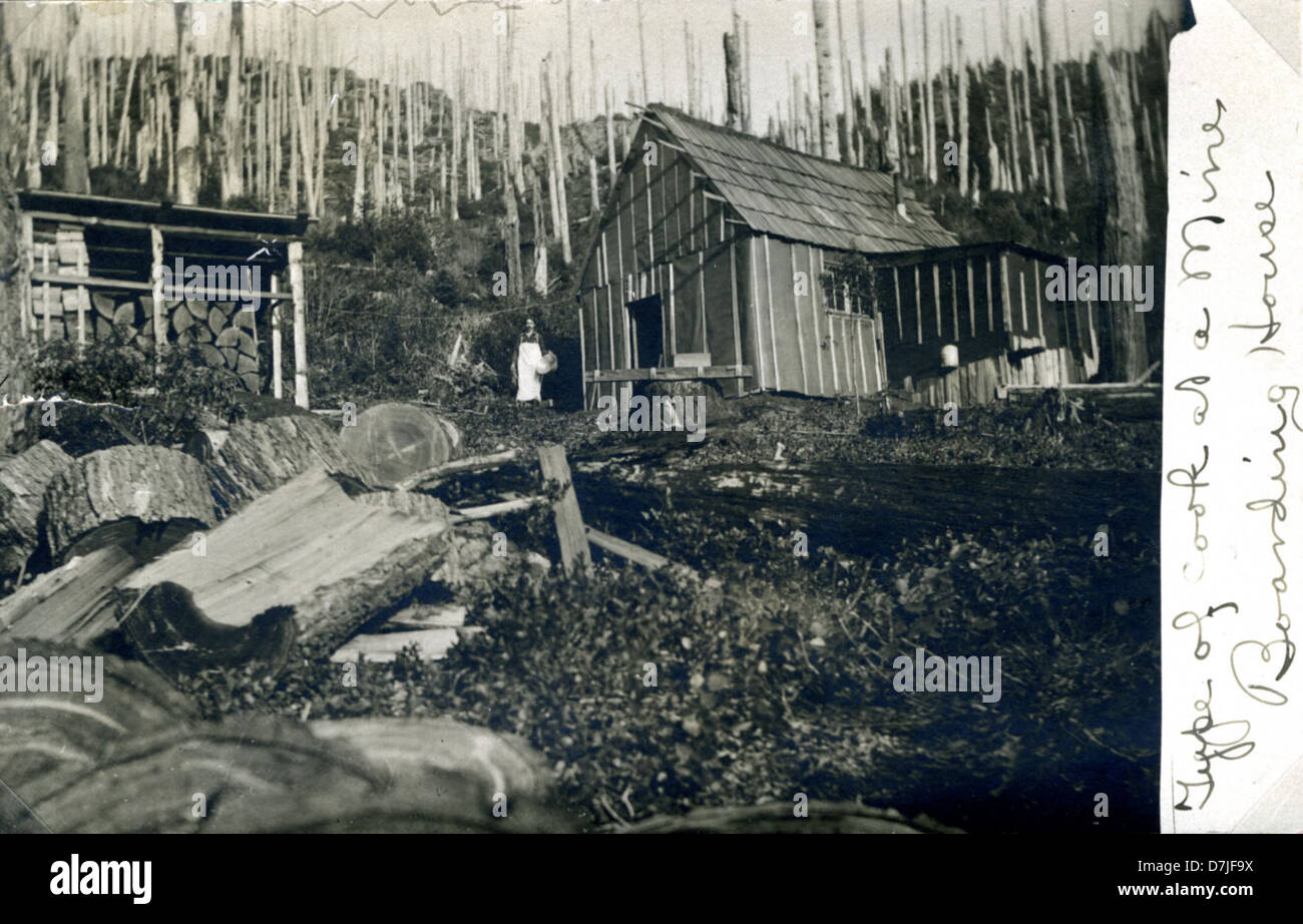 This title describes a type of cook working at a boarding house ...