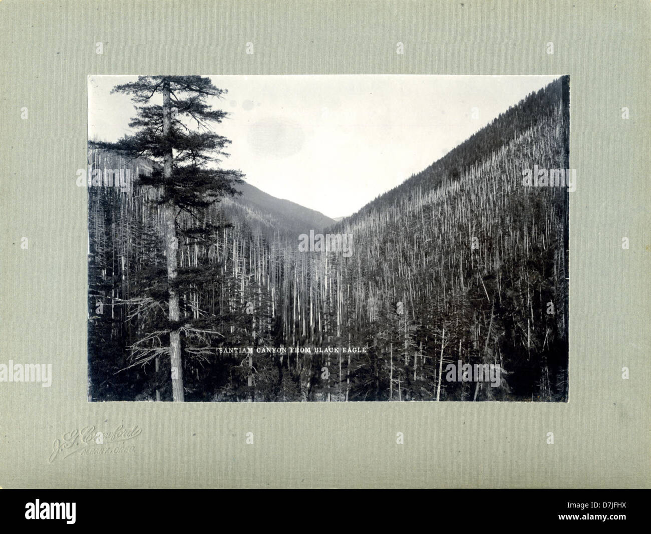 A scenic view of Santiam Canyon from the Black Eagle, showcasing the ...