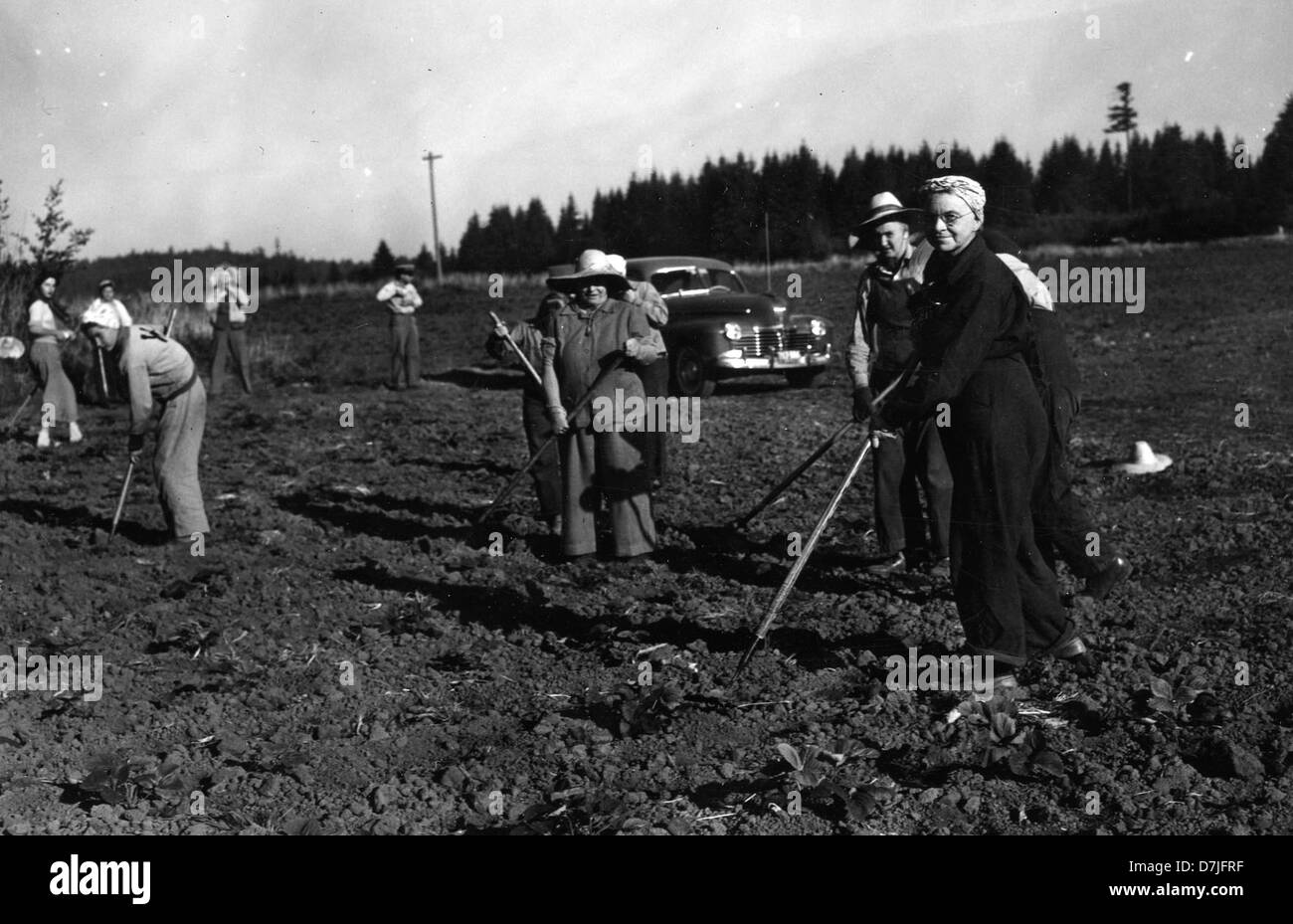 Wartime women farming hi-res stock photography and images - Alamy