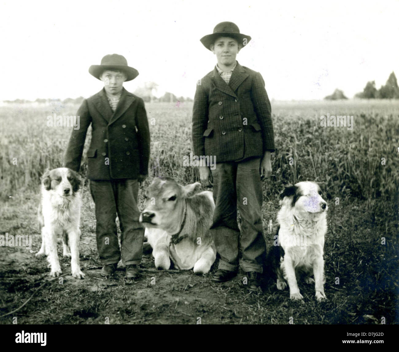 A historic photograph of Harrisburg, Oregon, taken in 1909, showcasing ...