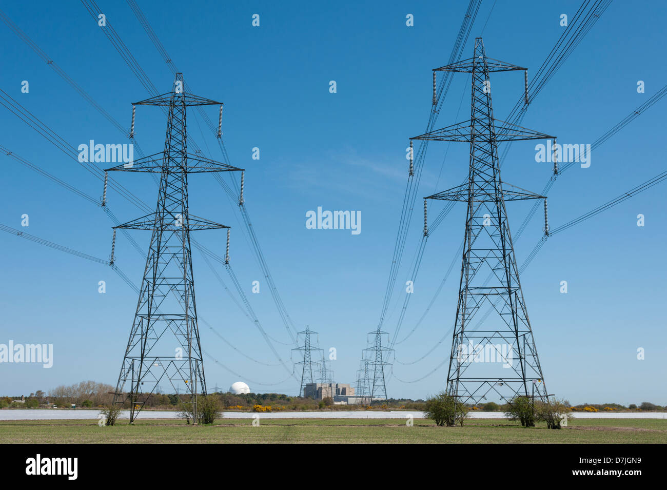 Electricity pylons near Sizewell nuclear power station Suffolk UK on ...