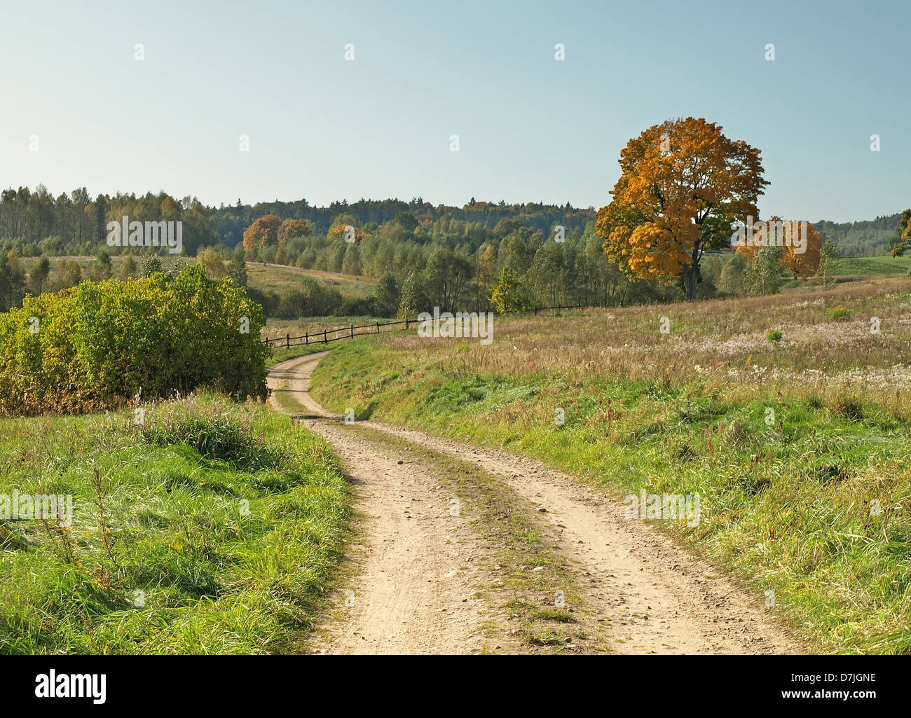 rural road in sunlight Stock Photo - Alamy