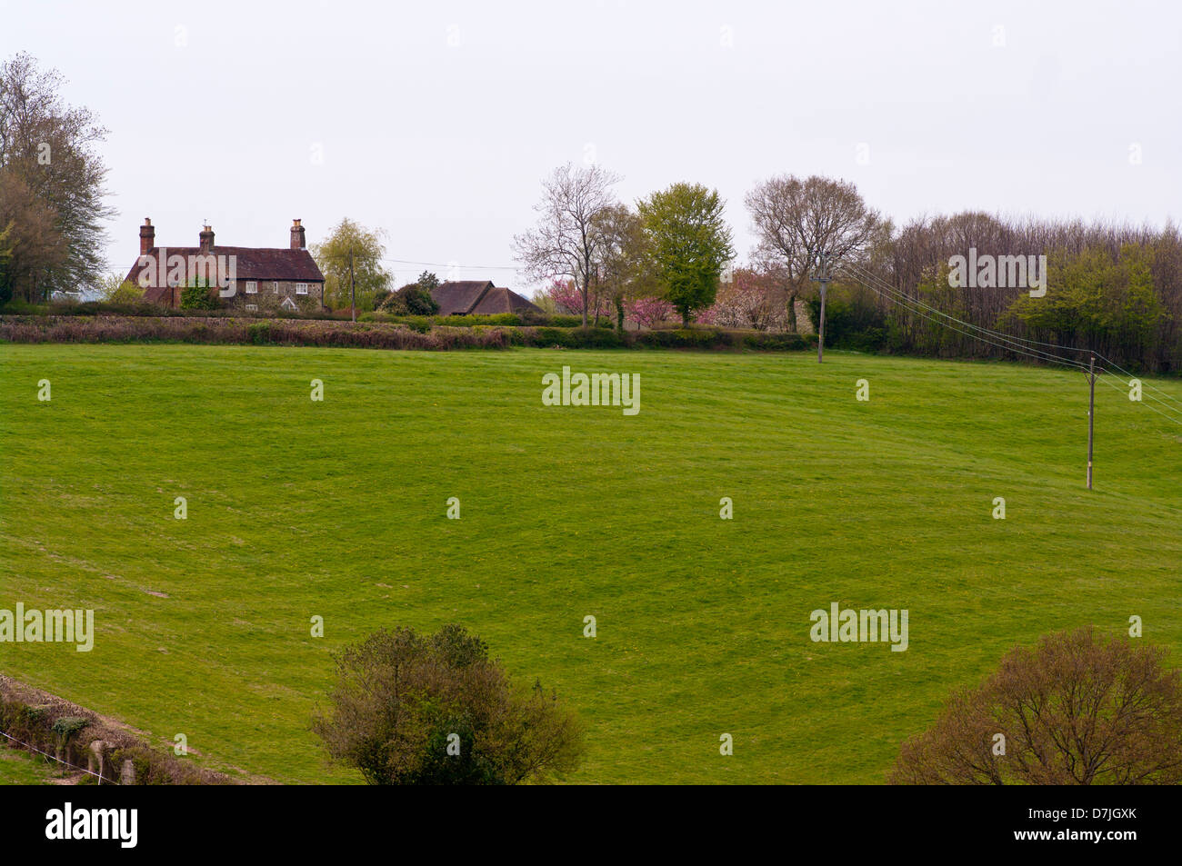 Grand country houses hi-res stock photography and images - Alamy