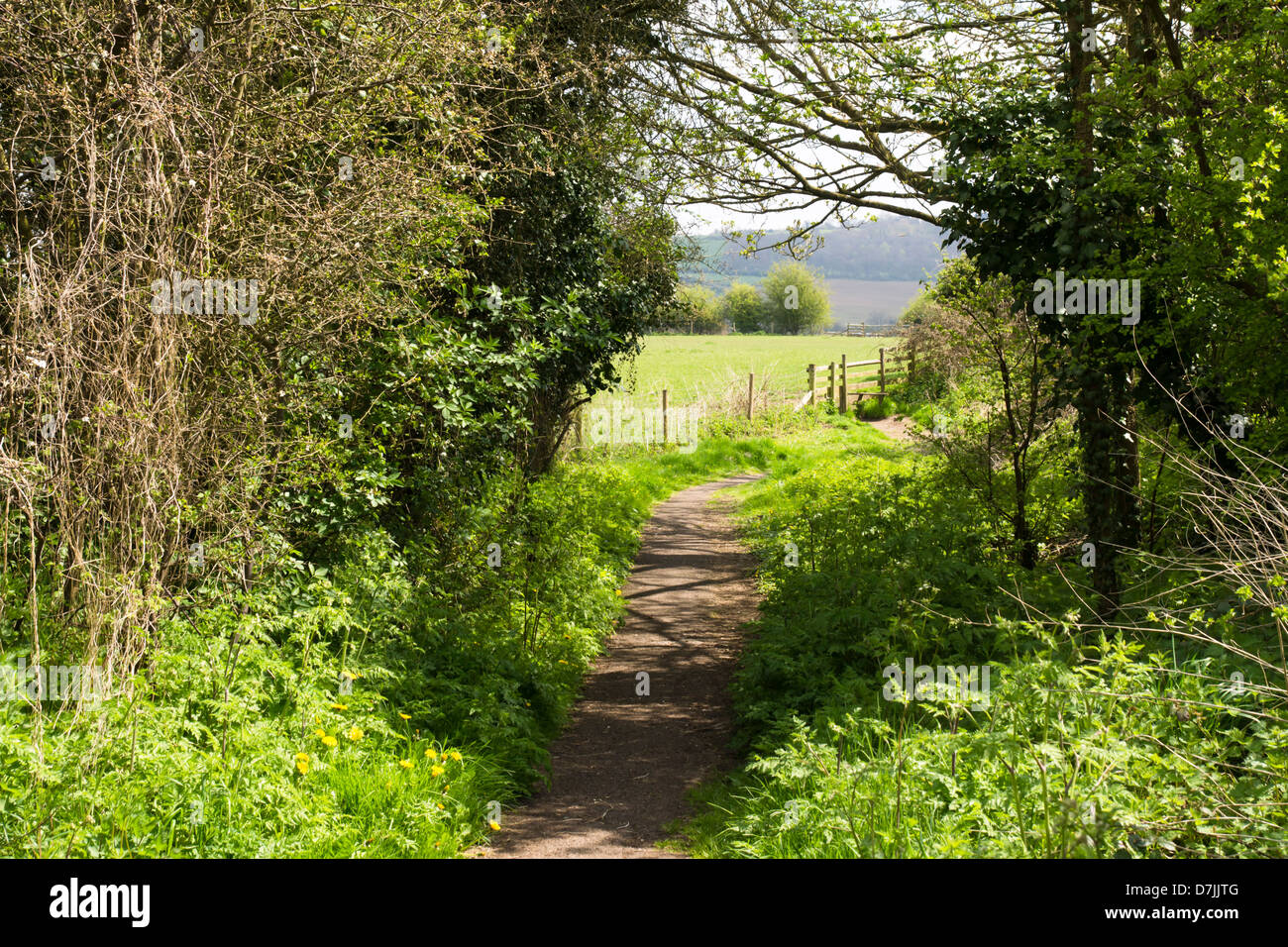 Country path, Lacock village in Wiltshire England UK Stock Photo - Alamy