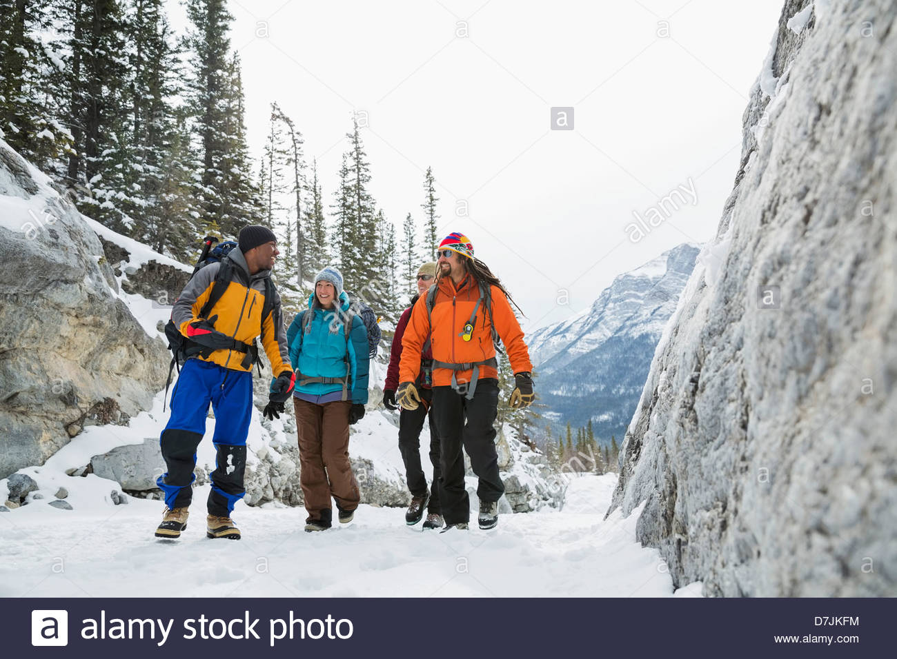 Group of friends hike in the mountains hi-res stock photography and ...