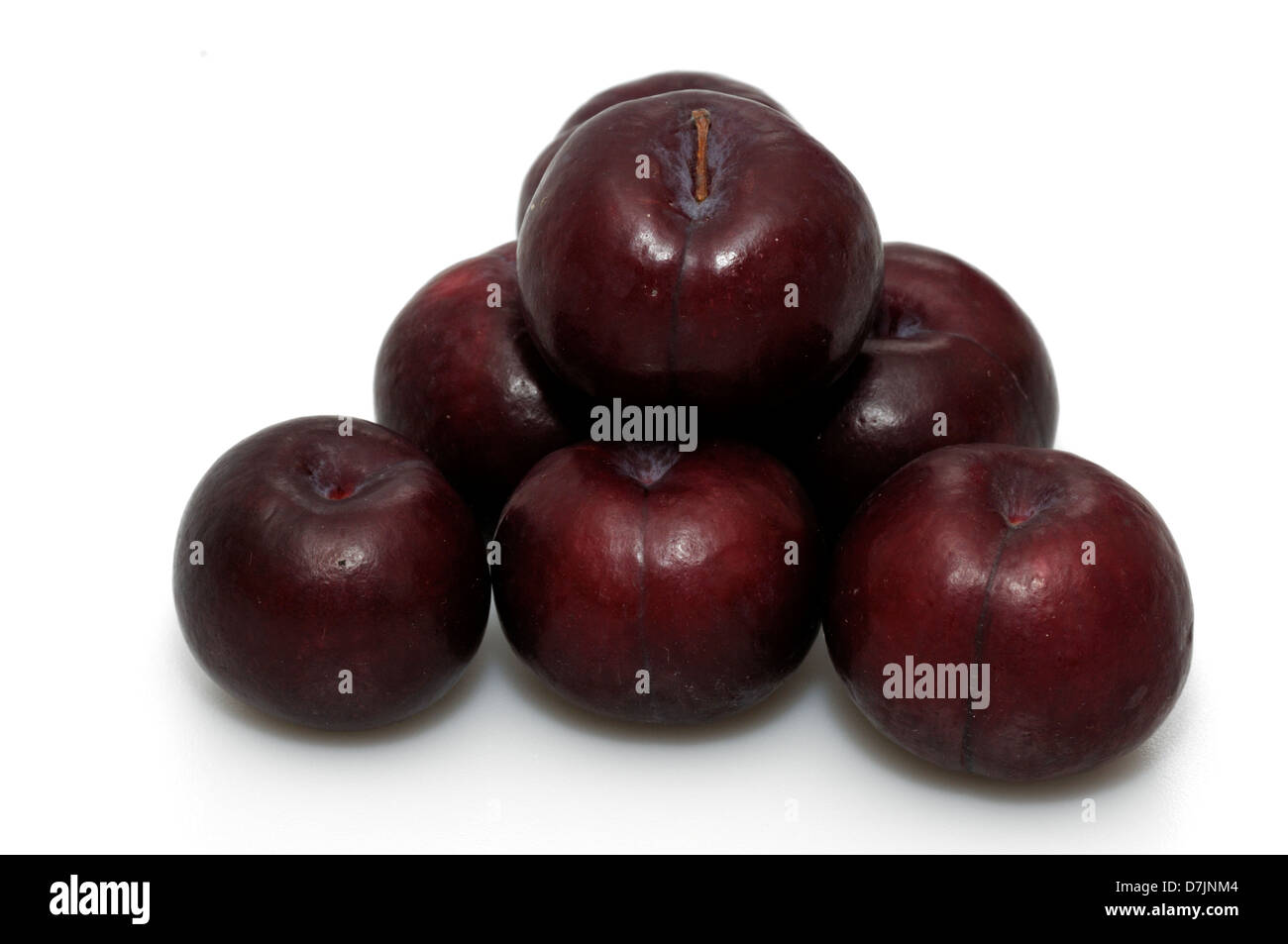 Prunus domestica tree Cut Out Stock Images & Pictures - Alamy