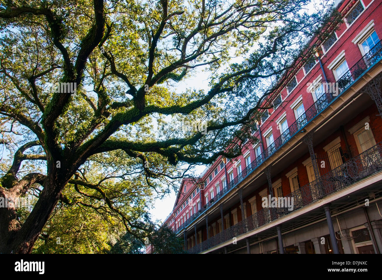 USA, New Orleans, Louisiana, View of traditional building with balcony ...