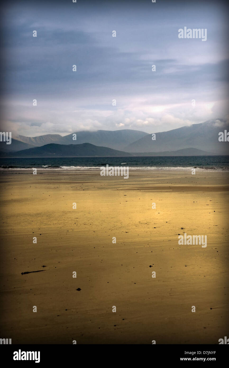 golden beach with blue sky and clouds in the maharees on the Dingle ...