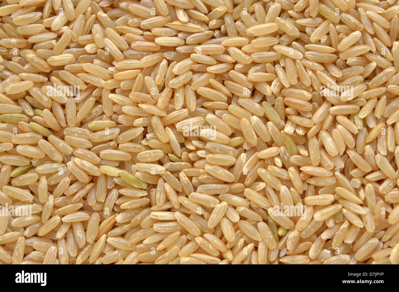Brown long grain rice Stock Photo - Alamy