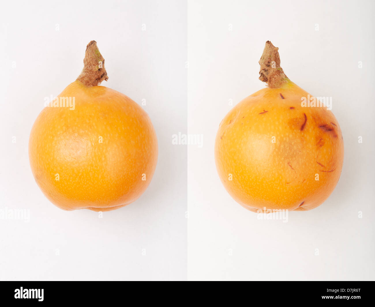 Loquat medlar fruit hi-res stock photography and images - Alamy