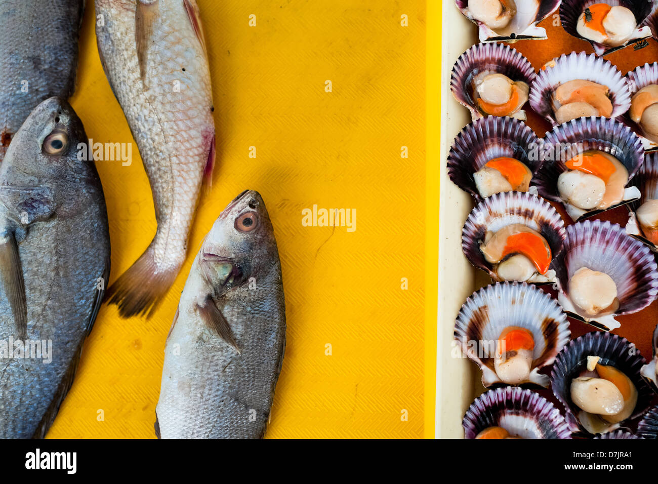Fresh scallops and fish for sale seen at Chorrillos seafood and fish ...