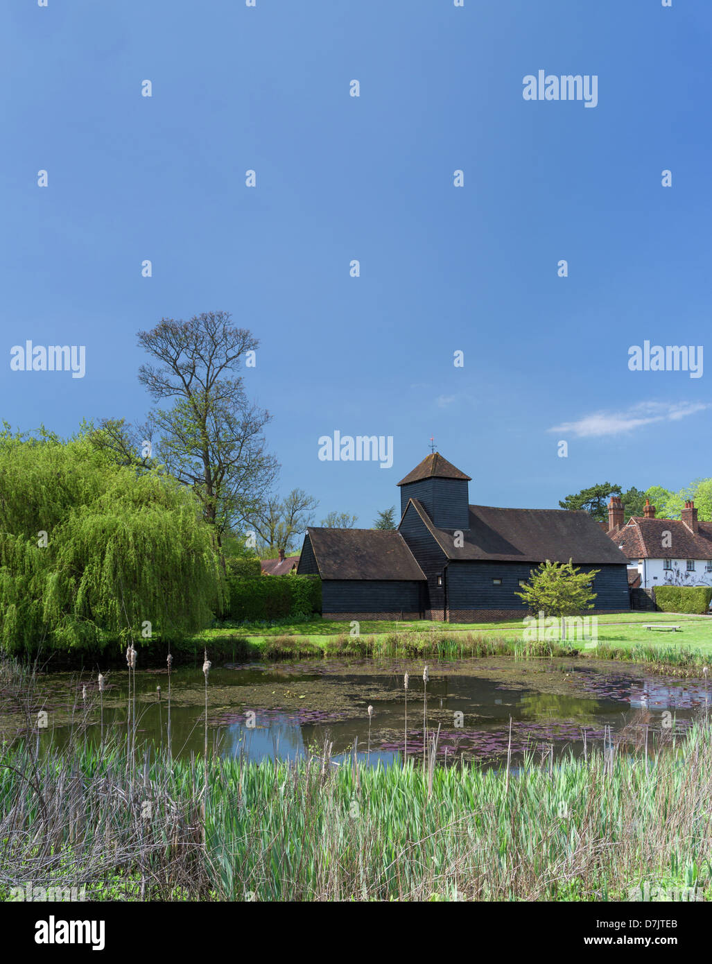 Spring at Buckland village pond, Near Reigate, Surrey Stock Photo - Alamy