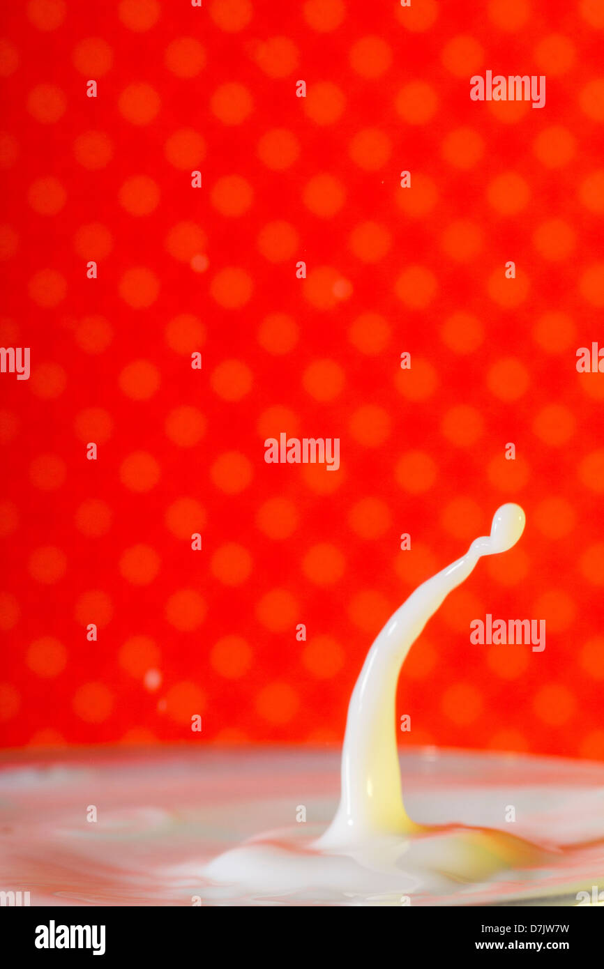 Beautiful close up view of a drop of milk Stock Photo - Alamy