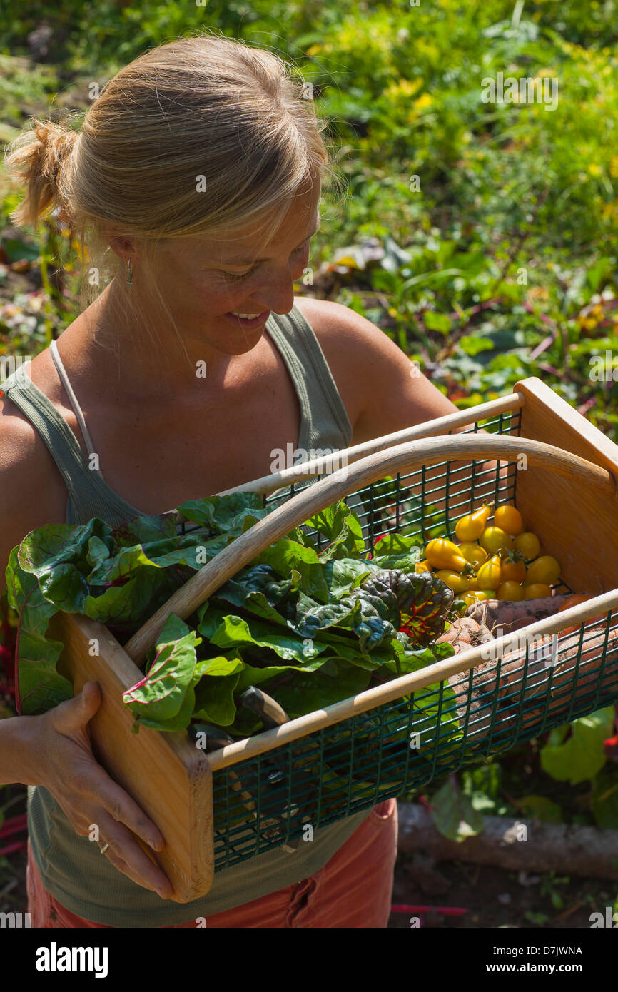 Woman collecting vegetables in garden Stock Photo - Alamy