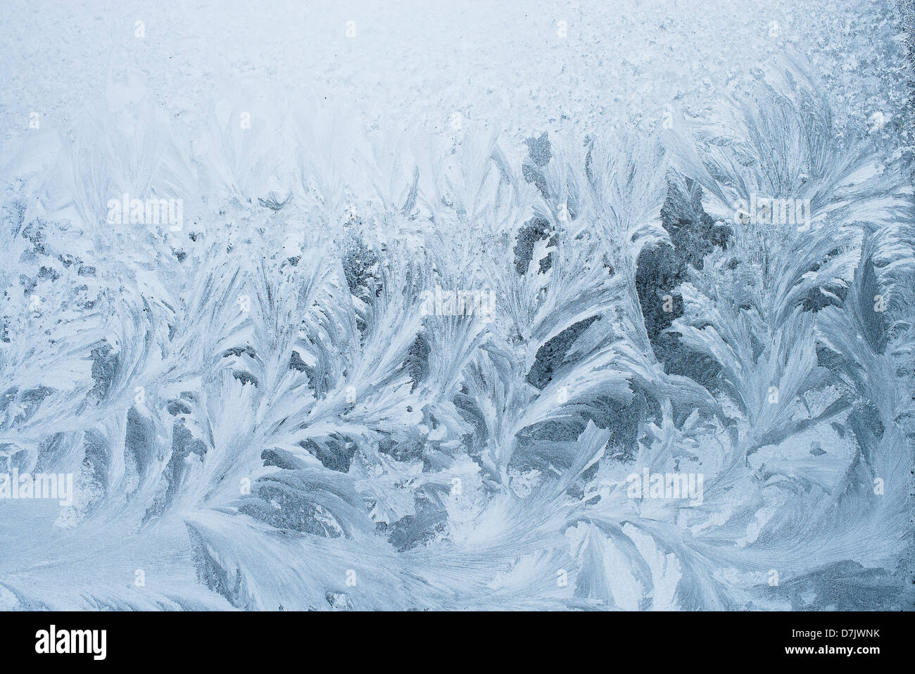 Abstract frost hi-res stock photography and images - Alamy