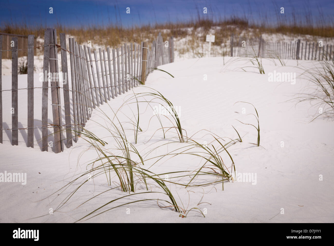 White Sand Dunes and Fence at the Beach Stock Photo - Alamy