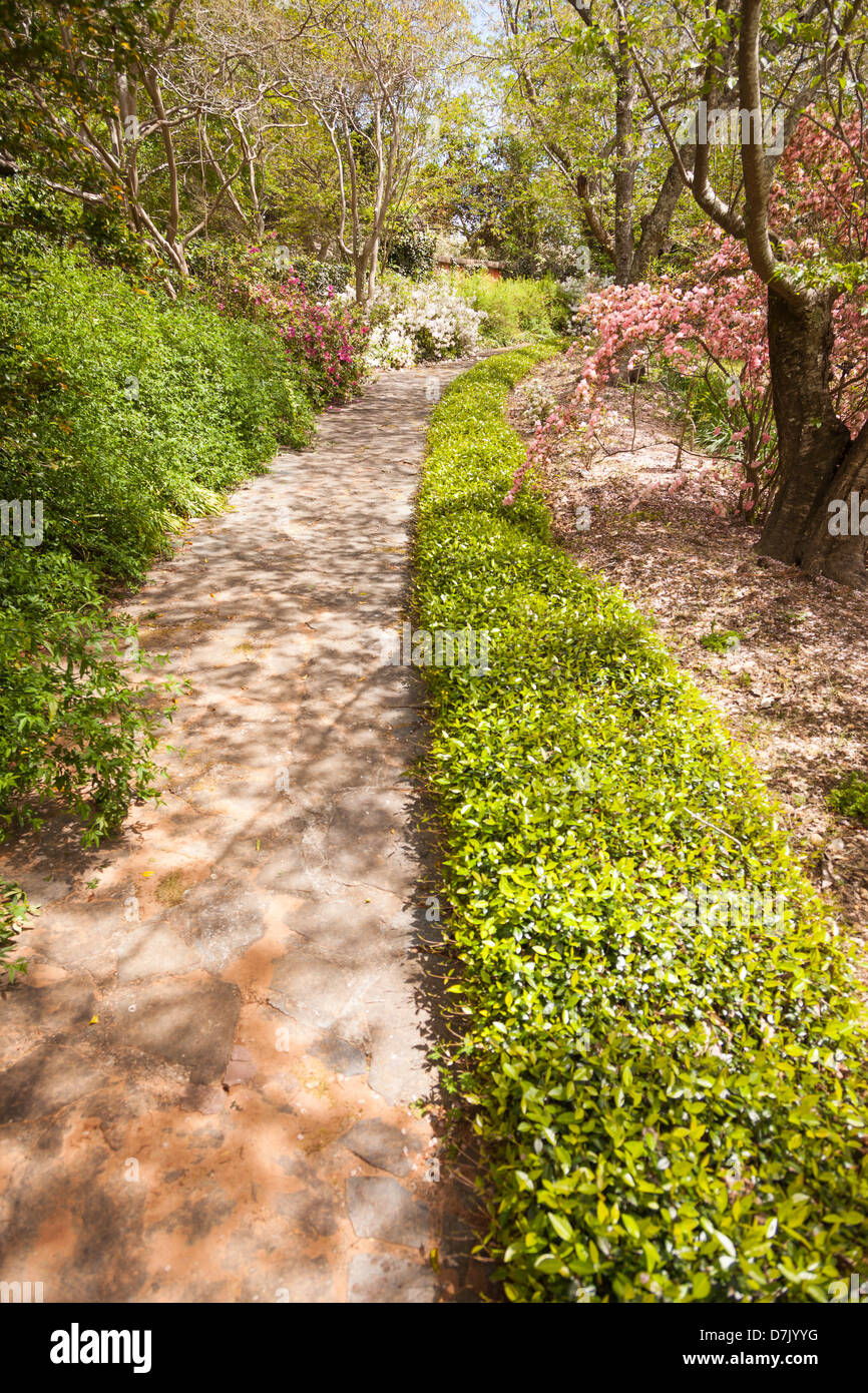 Beautiful Lush Park Walkway with a Variety of Foliage Stock Photo - Alamy