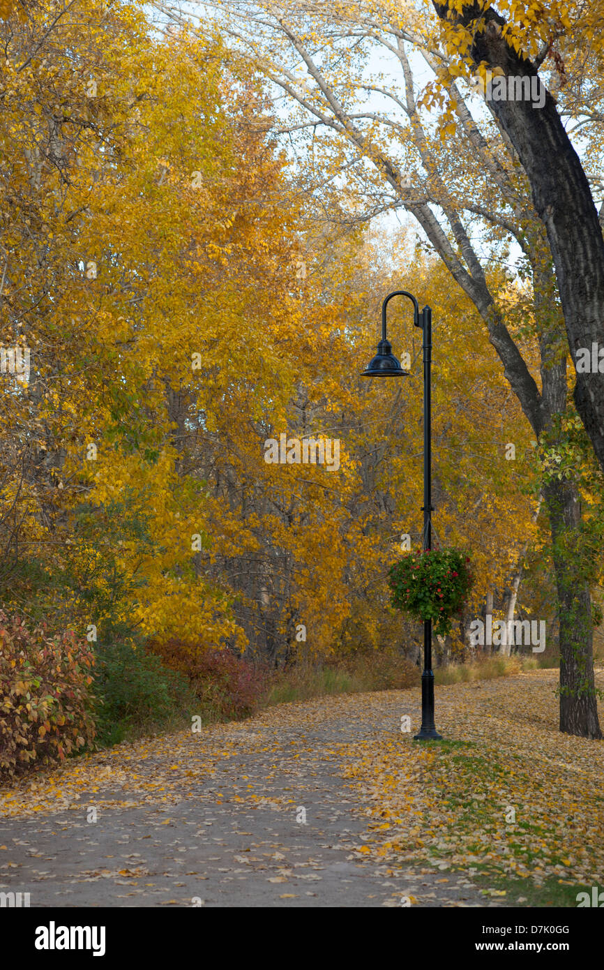 Fall colors in Prince's Island Park along the Trans Canada Trail Stock ...