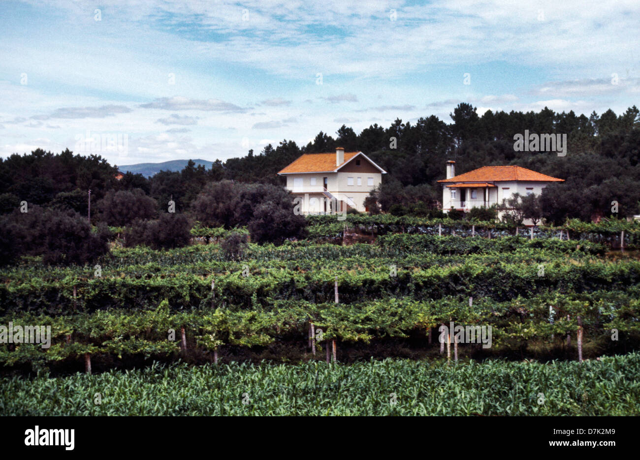 North Portugal Farm Houses Stock Photo - Alamy