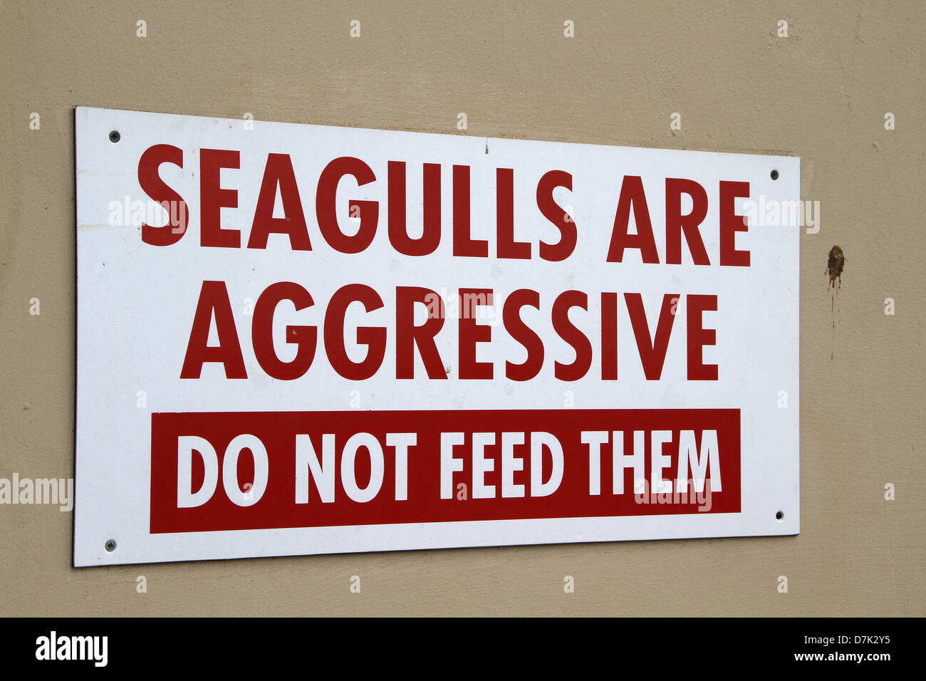Warning sign about aggressive seagulls Stock Photo - Alamy