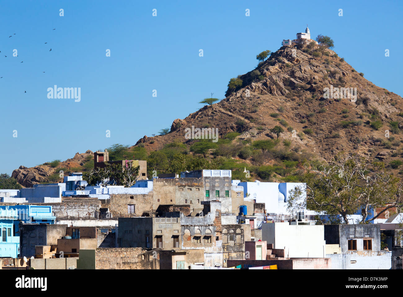 Gayatri Hindu Temple, Pushkar, Rajasthan, India Stock Photo - Alamy