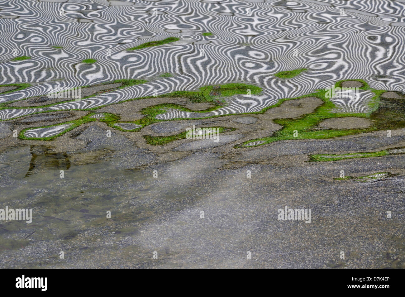 Germany, Bavaria, Reflection on water surface in water basin Stock ...