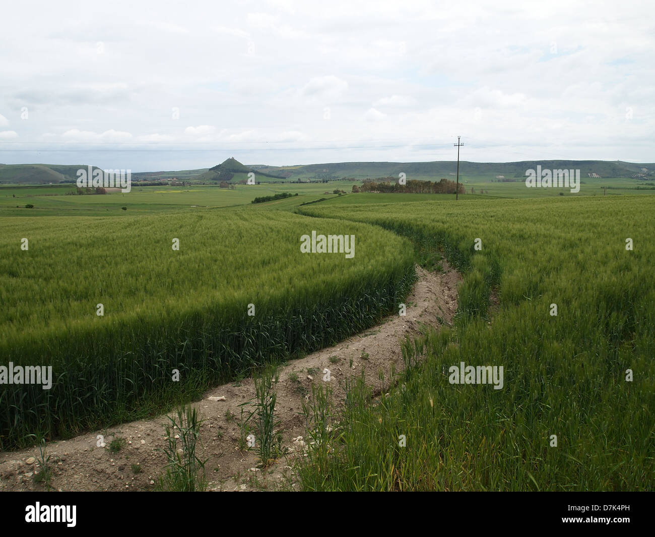 Lush green island road hi-res stock photography and images - Alamy