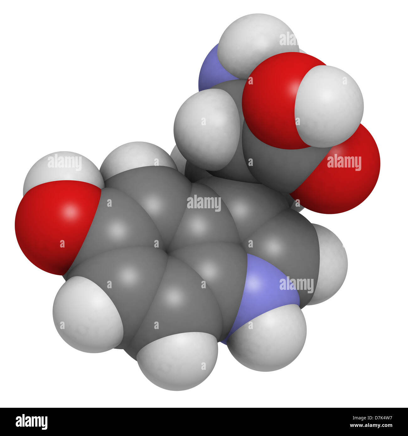 5-hydroxytryptophan (5-HTP, oxitriptan) antidepressant, molecular model ...