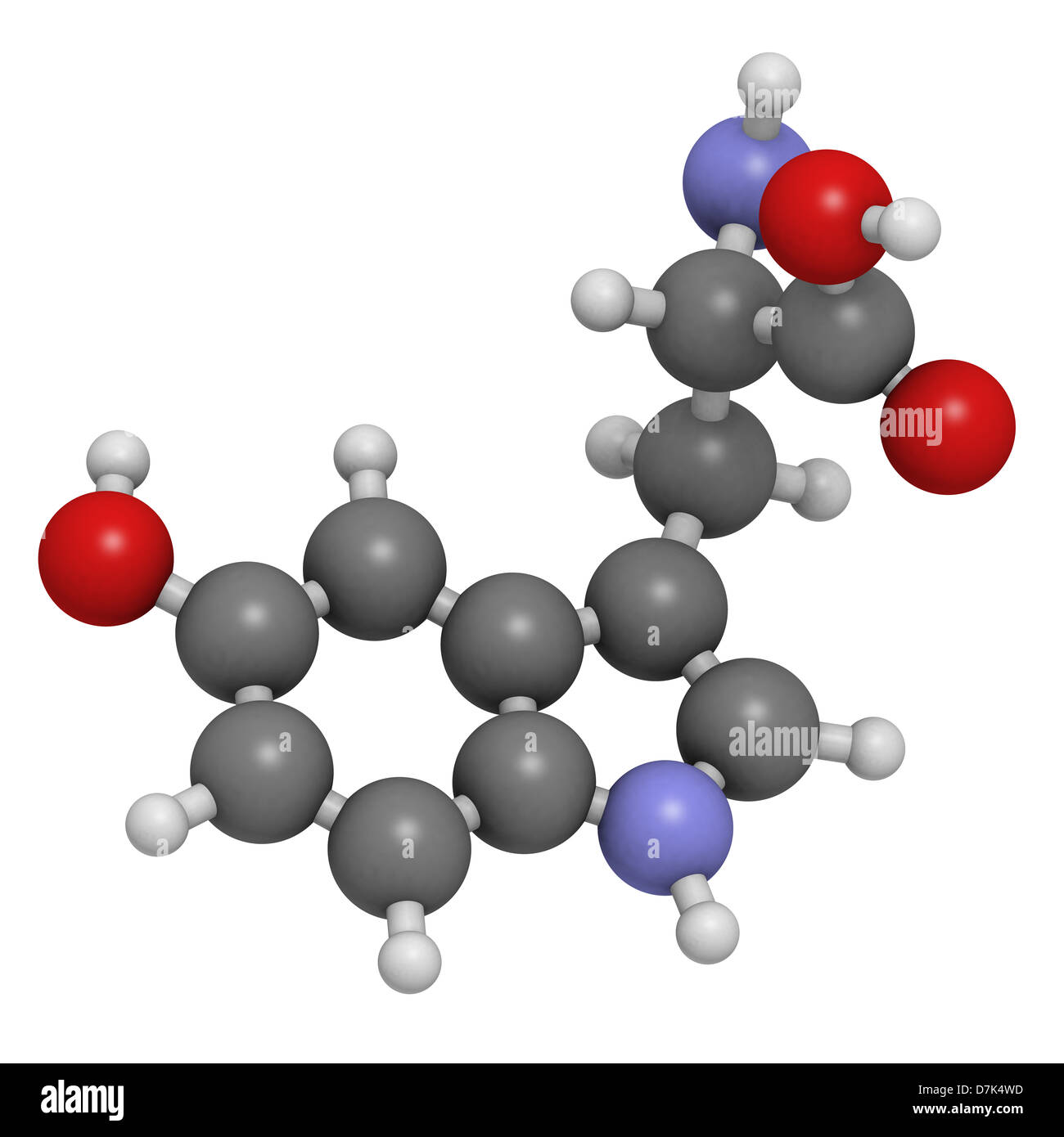 5-hydroxytryptophan (5-HTP, oxitriptan) antidepressant, molecular model ...