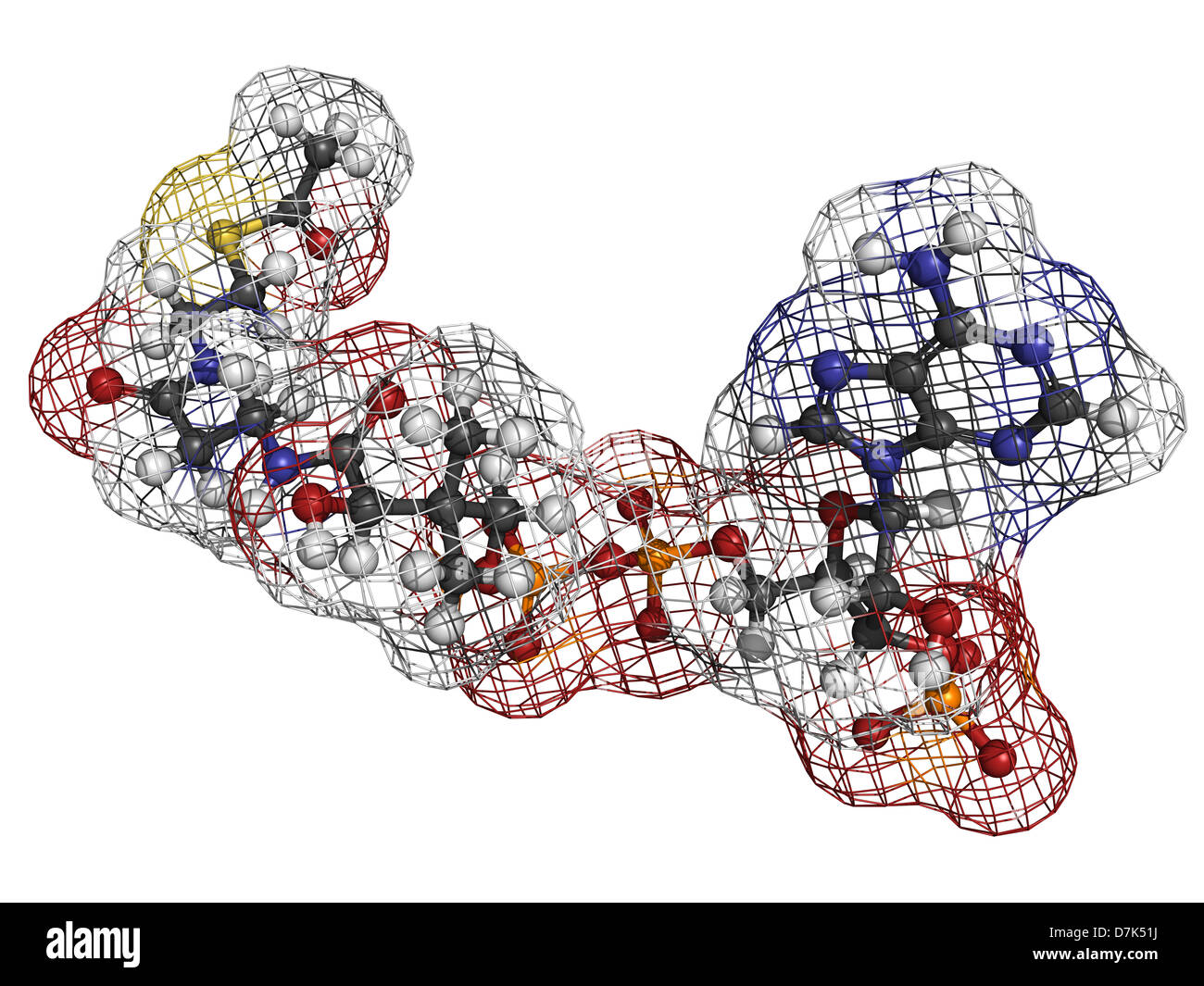 Acetyl coa hi-res stock photography and images - Alamy