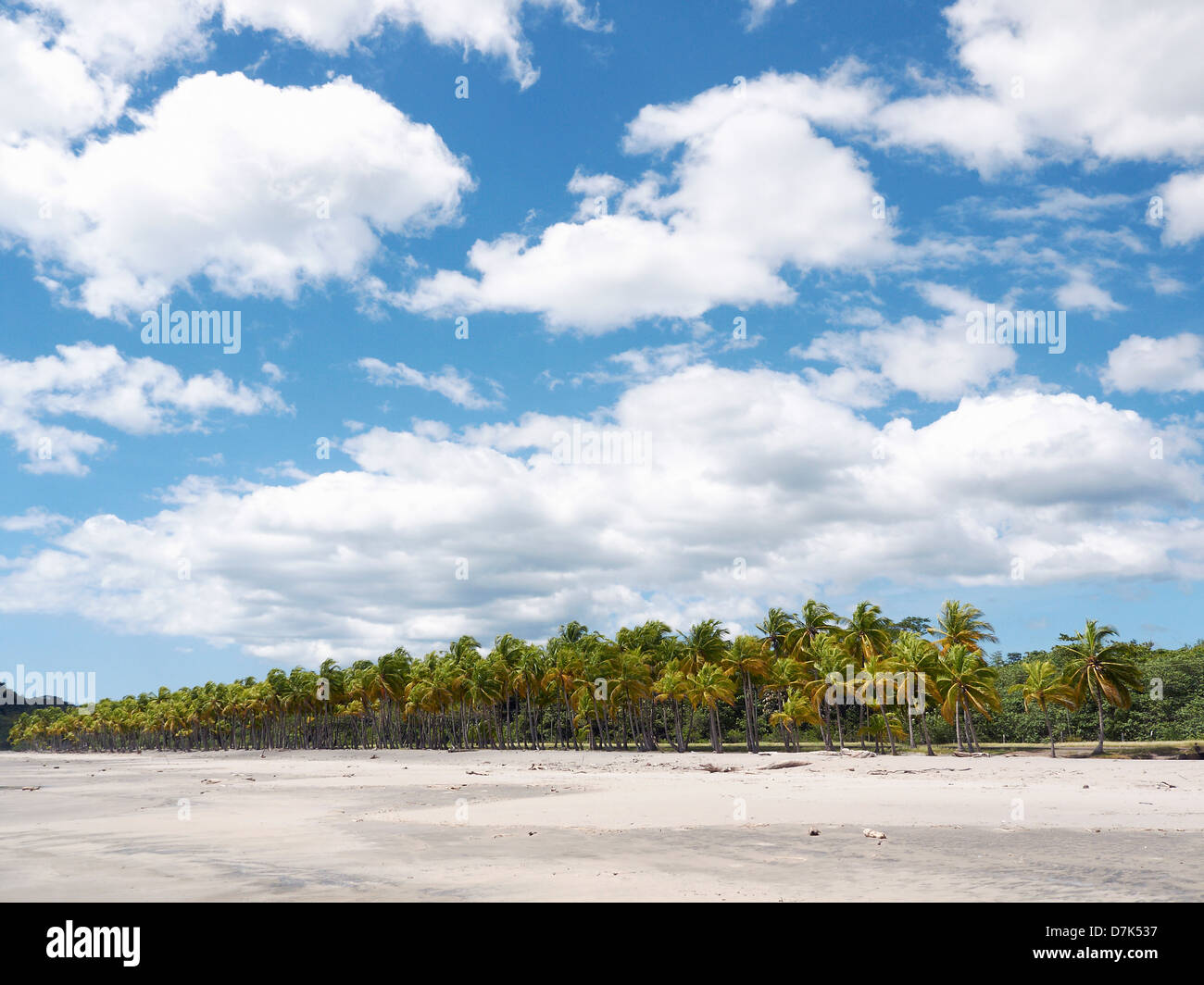 Central America, Costa Rica, View of Playa Carrillo Stock Photo - Alamy
