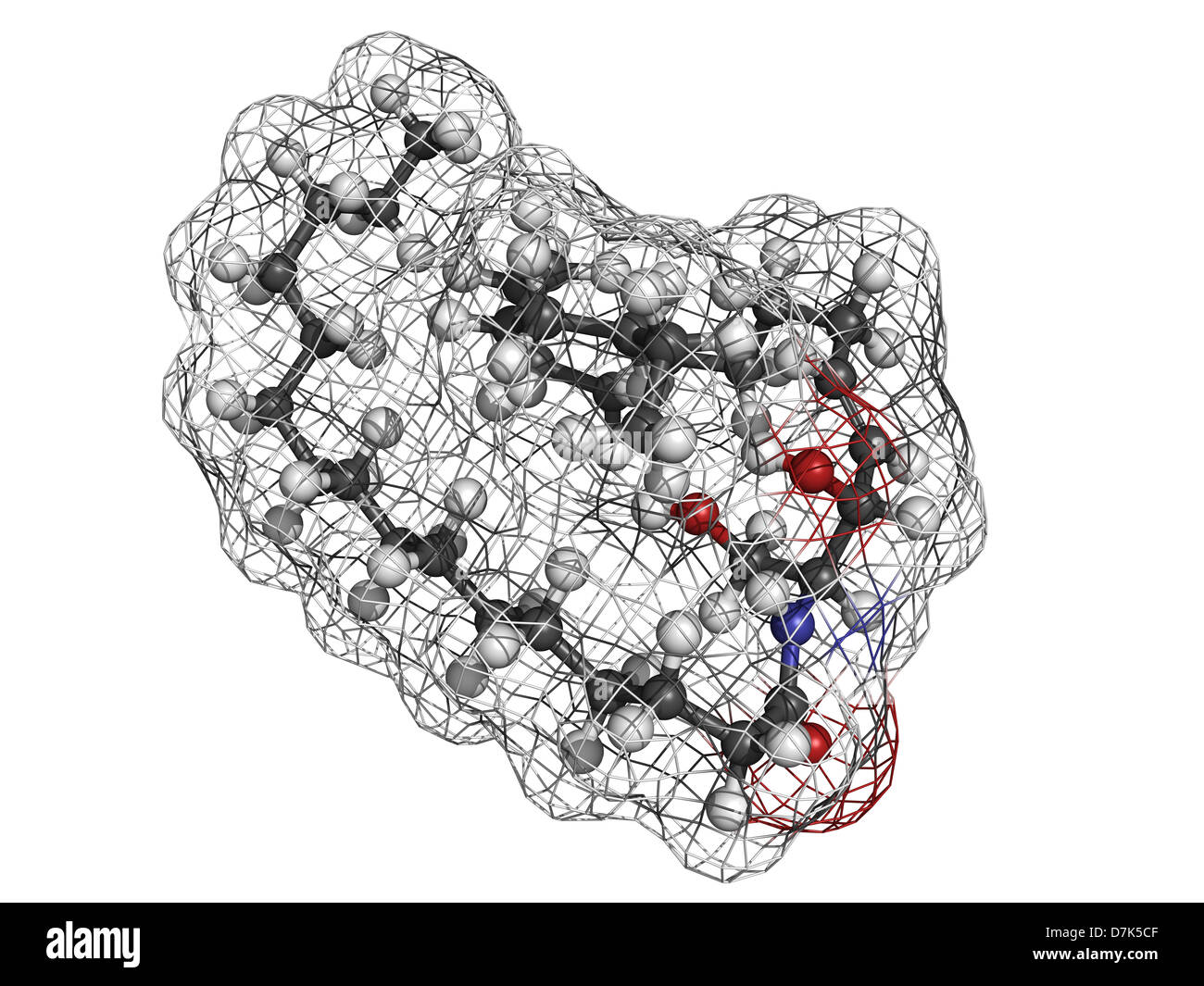 Ceramide cell membrane lipid, molecular model. Atoms are represented as ...
