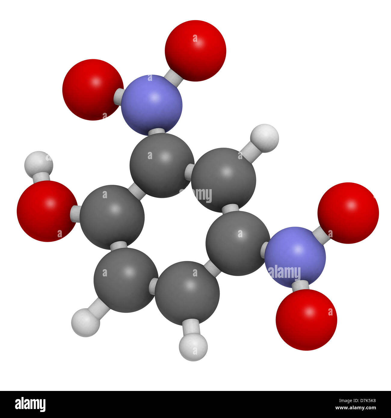 2,4-Dinitrophenol (DNP), molecular model. Atoms are represented as ...
