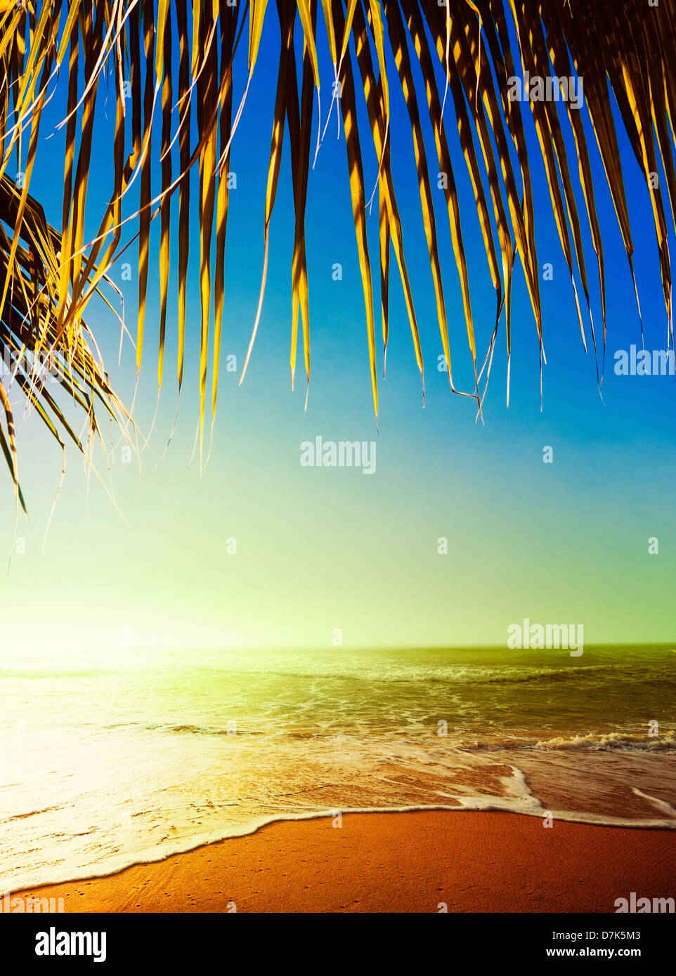Amazing sunset scene. Taken at the tropical beach in evening time Stock ...