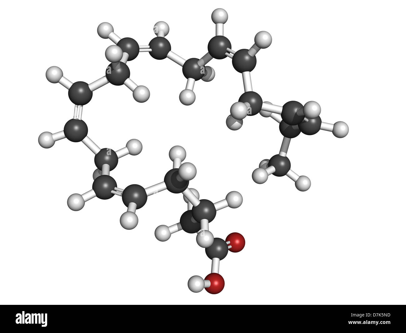 Eicosapentaenoic acid (EPA) omega-3 fatty acid, molecular model. EPA is ...