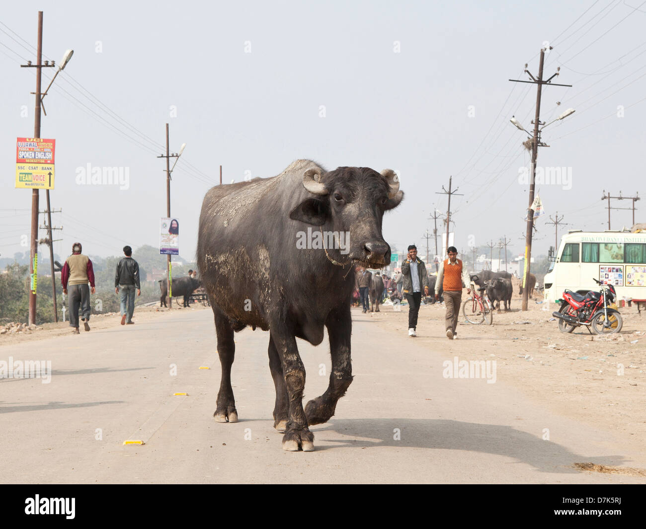Rural life india hi-res stock photography and images - Alamy