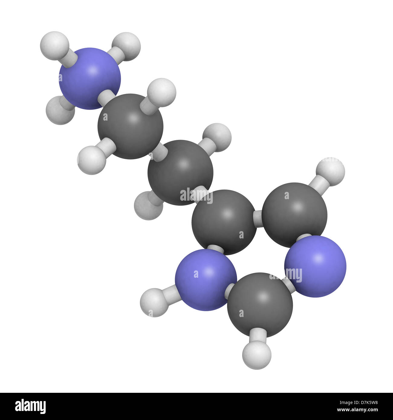 Histamine neurotransmitter, molecular model. Atoms are represented as ...