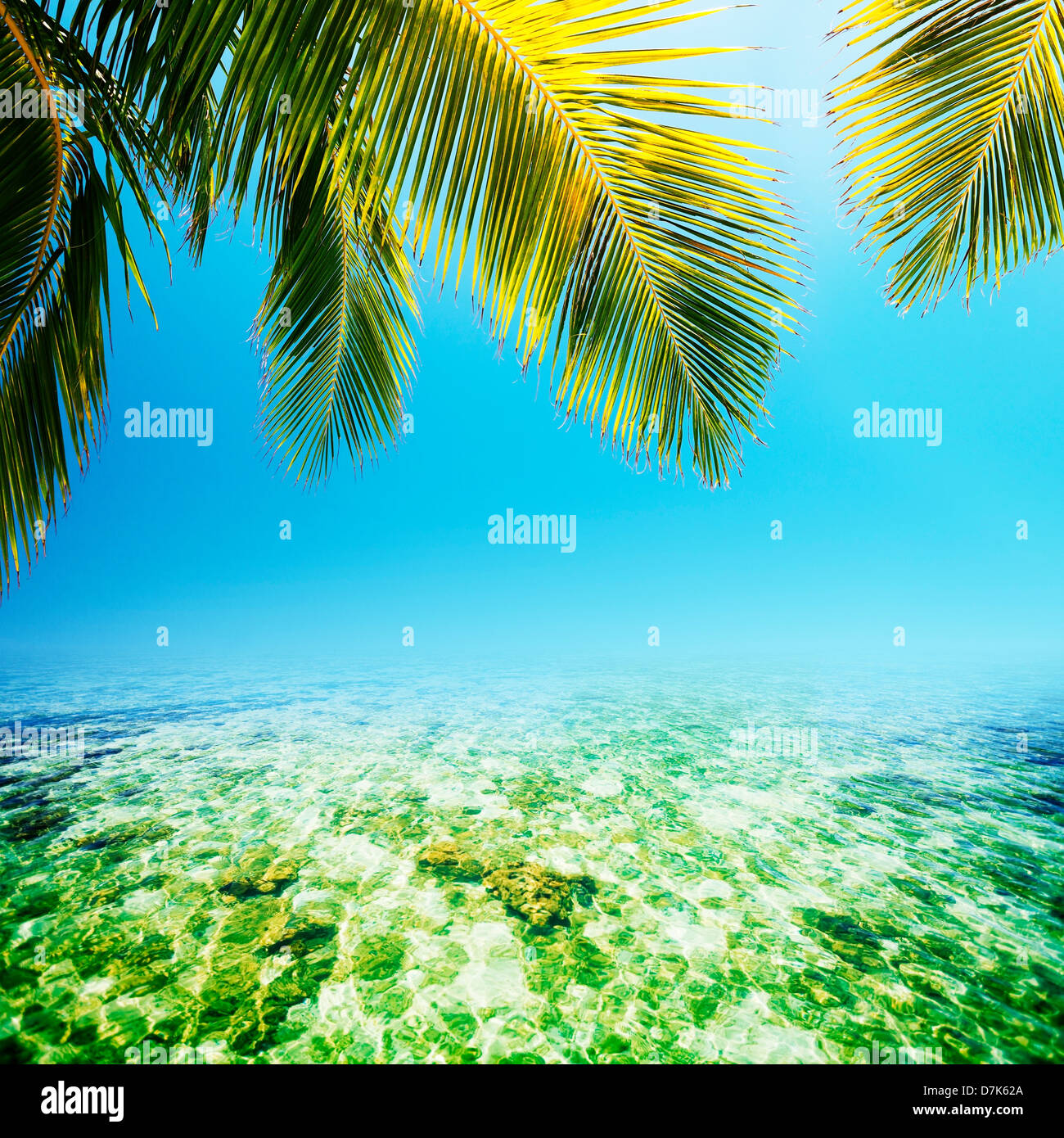 Tropical sea. Square composition Stock Photo - Alamy