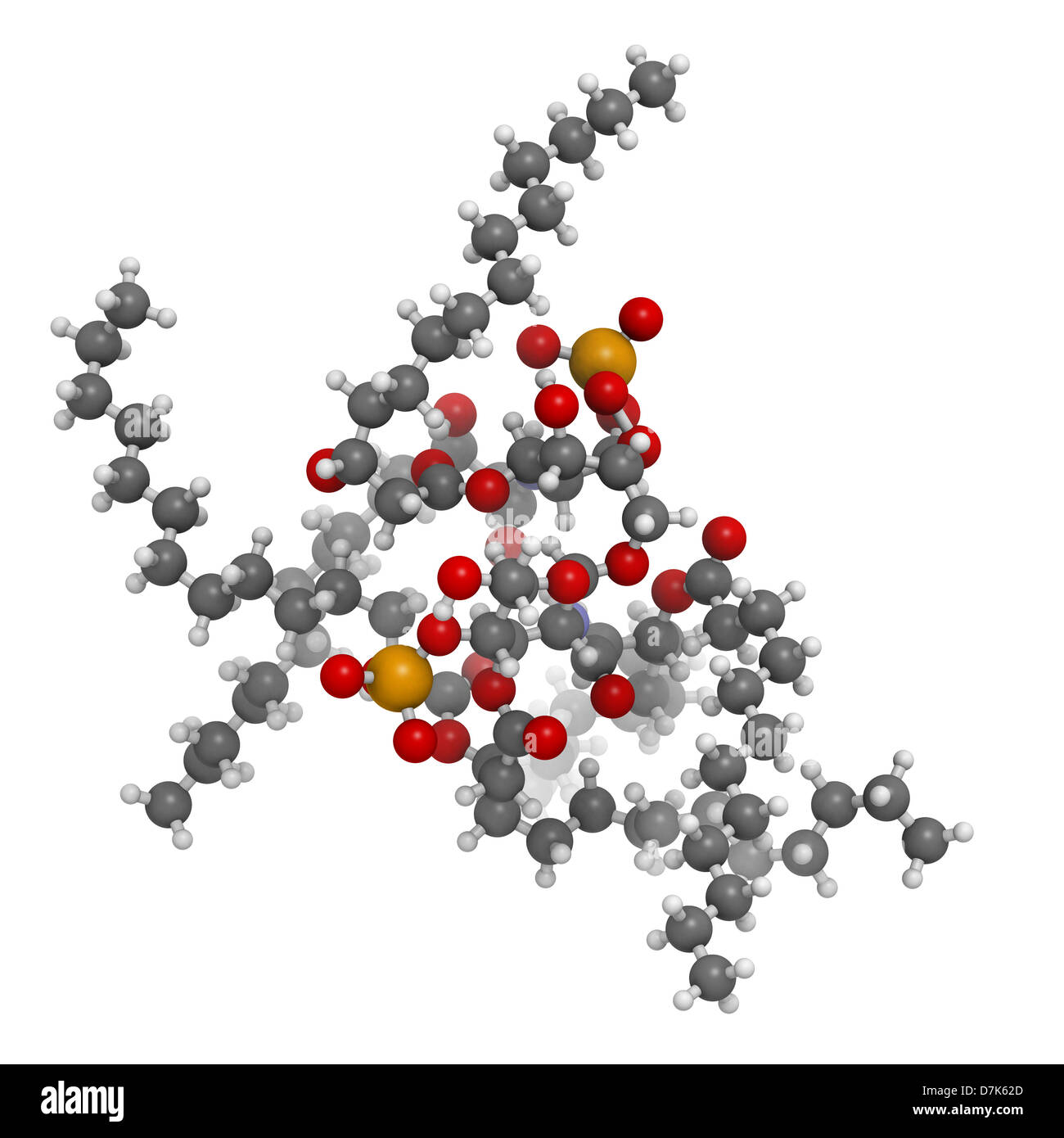 Lipid bacterial endotoxin molecular model Cut Out Stock Images ...