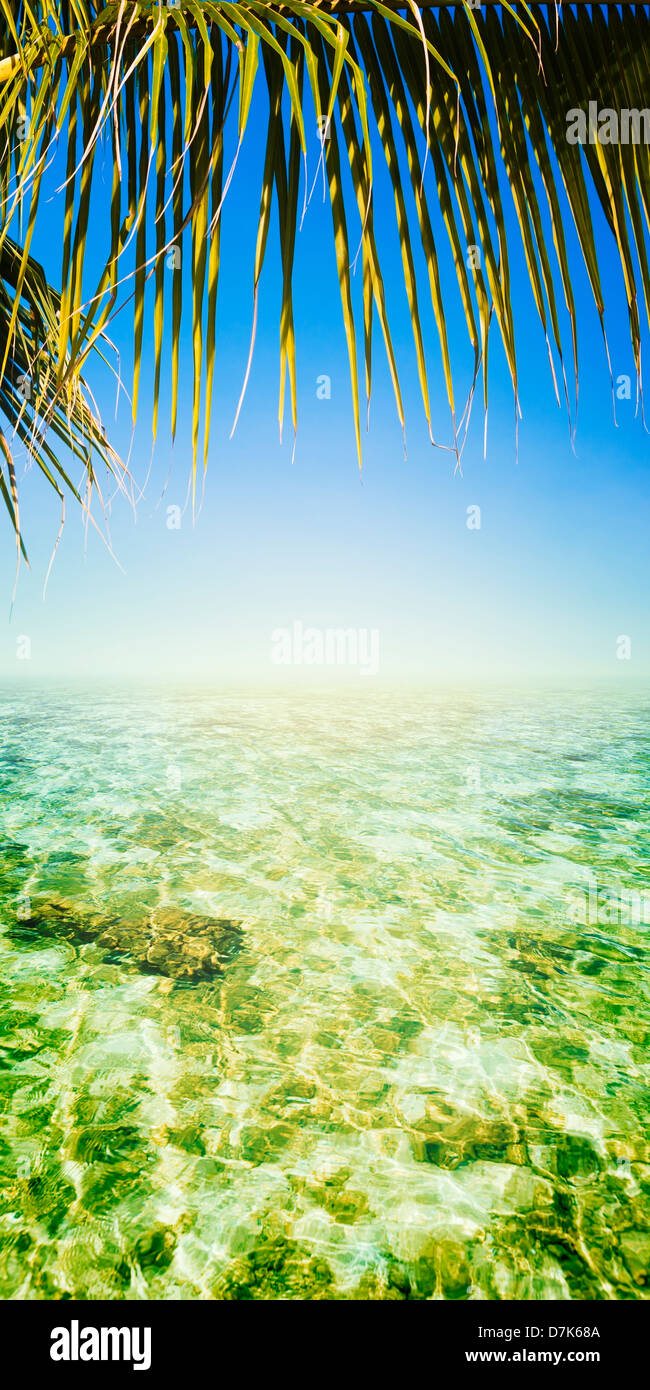 Tropical sea. Vertical panoramic composition Stock Photo - Alamy