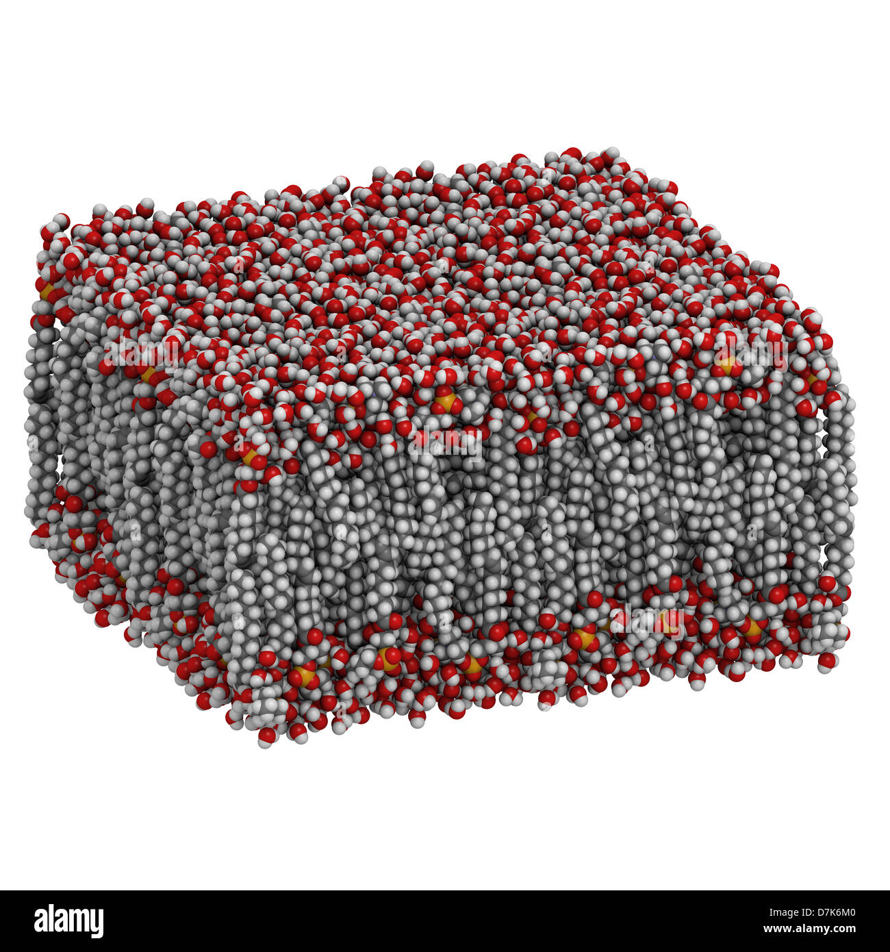 Palmitoyloleoylphosphatidylcholine (POPC) lipid bilayer in water ...