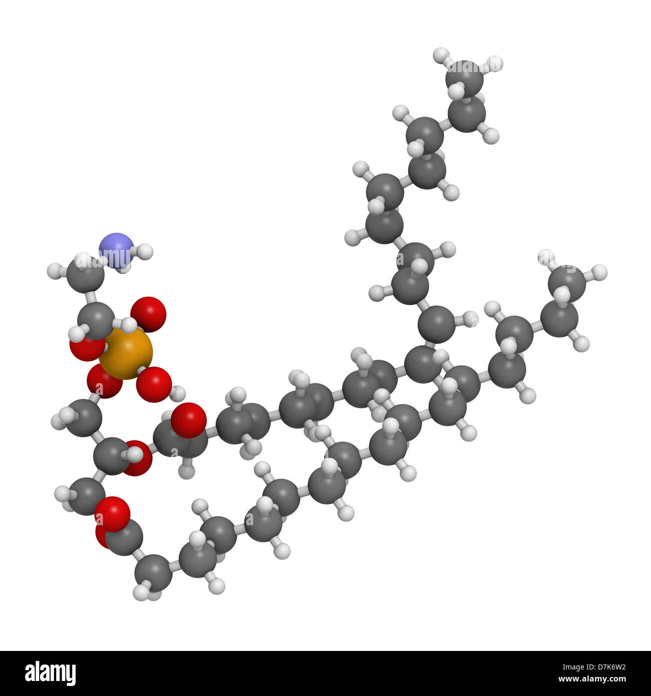 Palmitoyloleoylphosphatidylethanolamine (POPE) cell membrane building ...