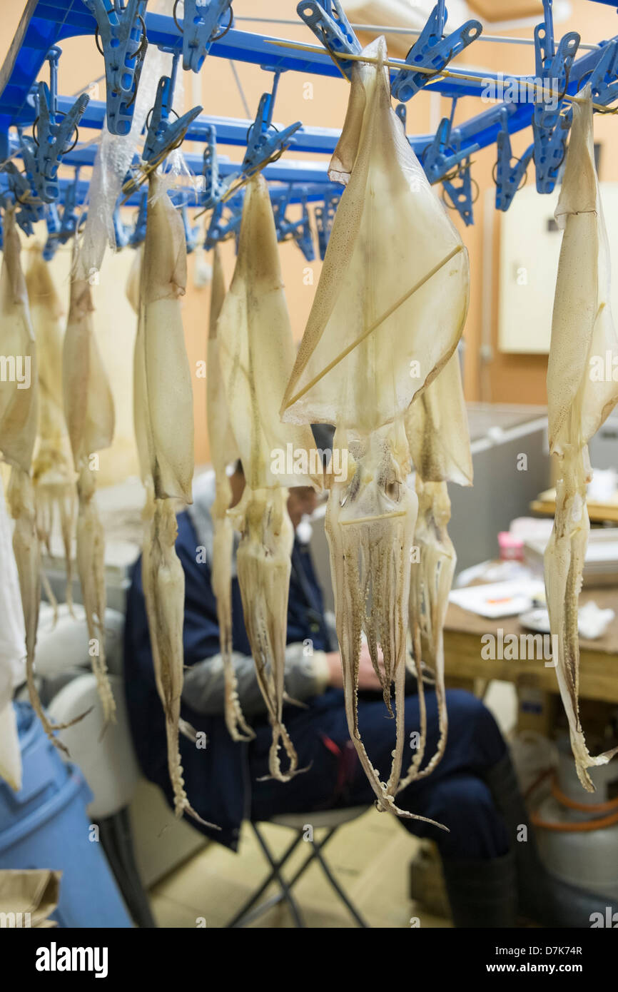 Dry fish for sale, Tsukiji fish market, Tokyo, Japan Stock Photo - Alamy