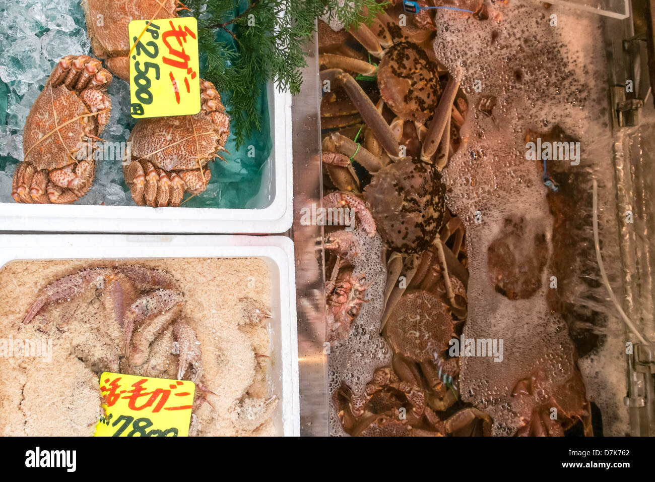 Live crabs for sale, Tsukiji fish market, Tokyo, Japan Stock Photo - Alamy