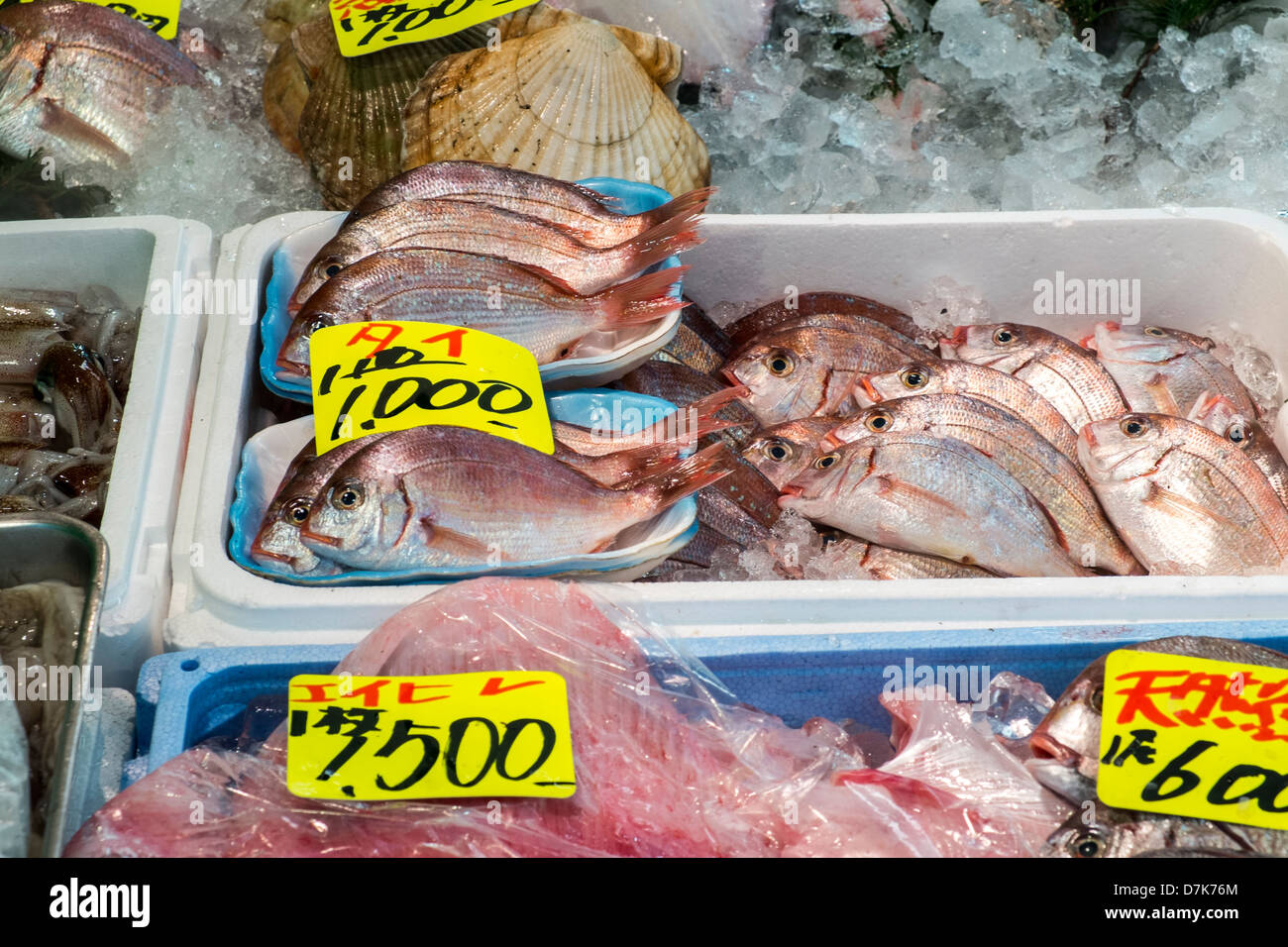 Fish for sale, Tsukiji fish market, Tokyo, Japan Stock Photo - Alamy