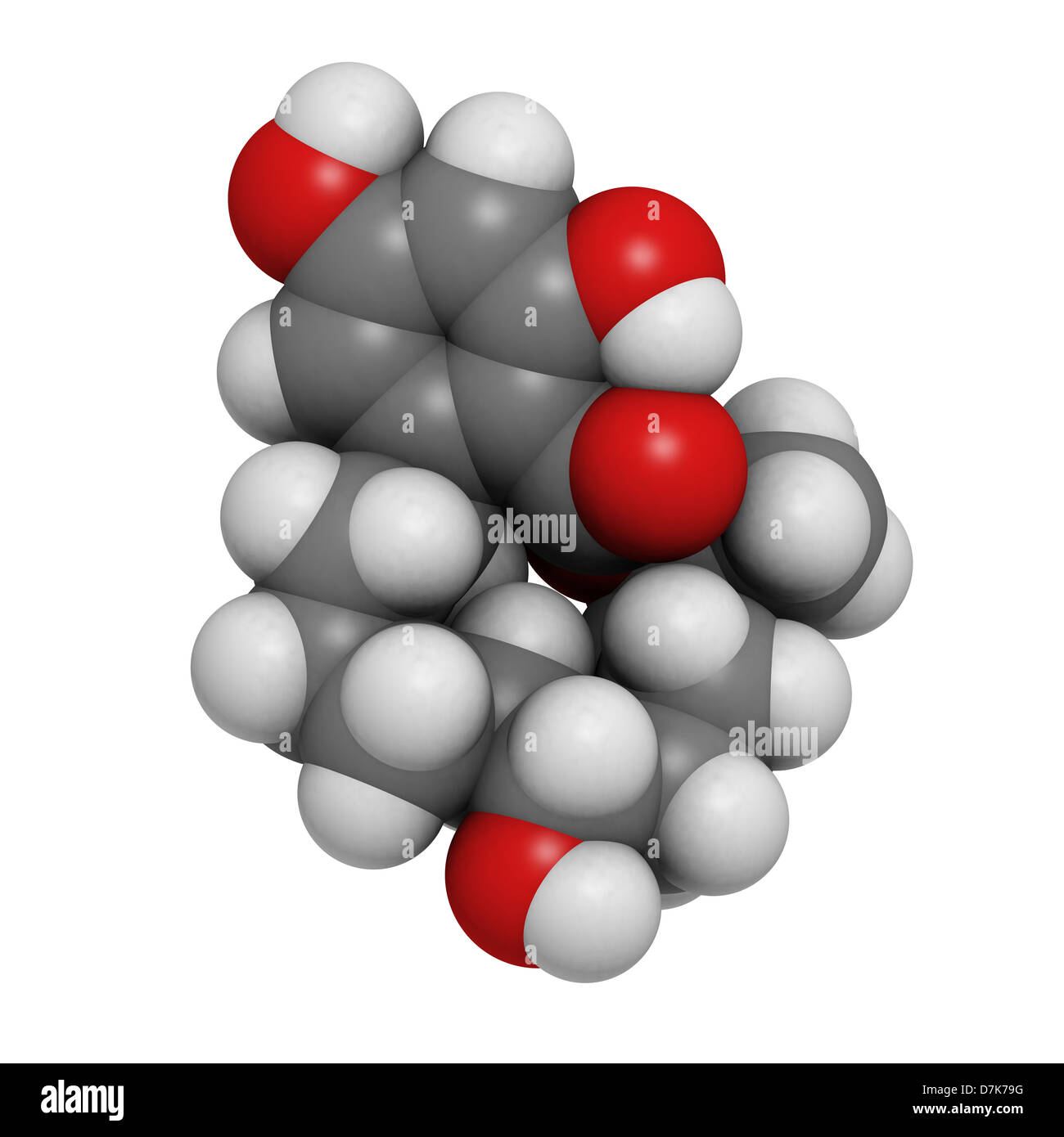 Zeranol beef growth promoter, molecular model. Zeranol has non ...
