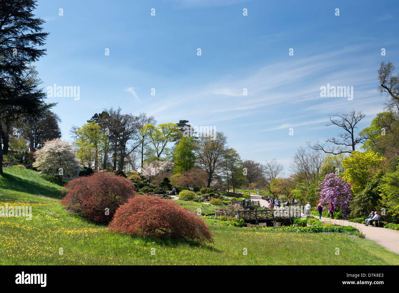 Wisley gardens hi-res stock photography and images - Alamy