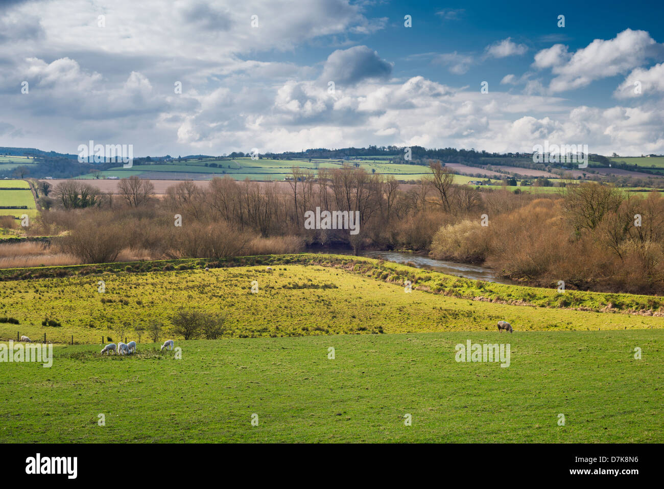 Meander bend on the Bride River, County Waterford, Ireland Stock Photo ...