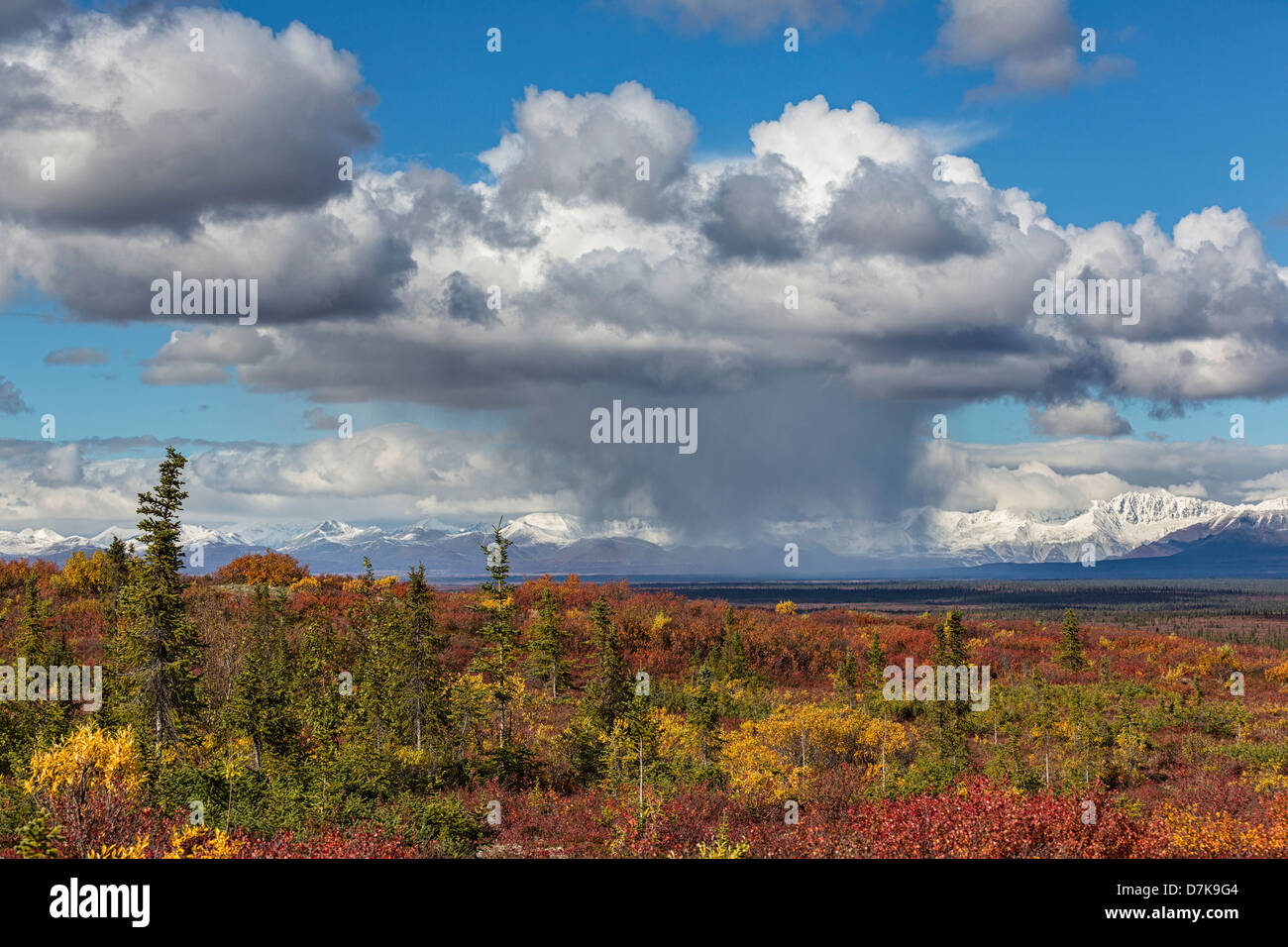 USA, Alaska, Landscape along Denali Highway in autumn with Alaska Range ...
