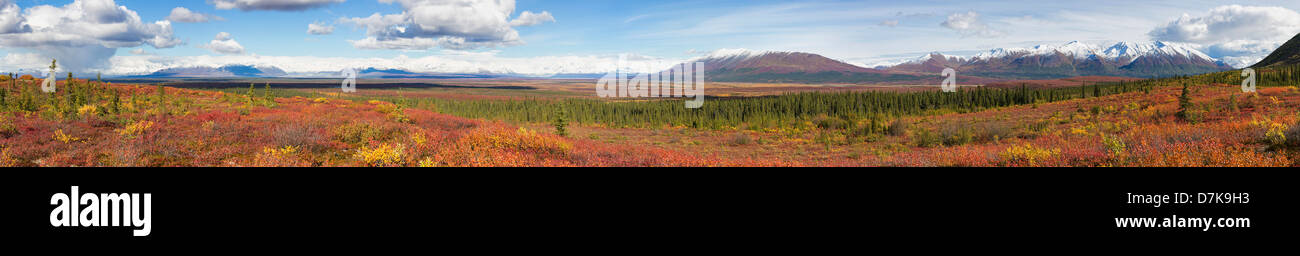 USA, Alaska, View of landscape in autumn and Alaska Range in background ...